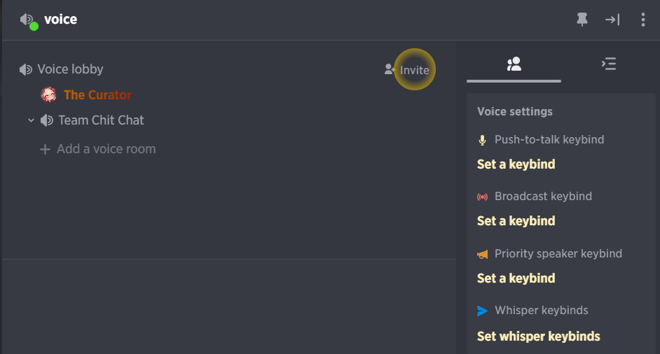 Voice and video settings – Guilded